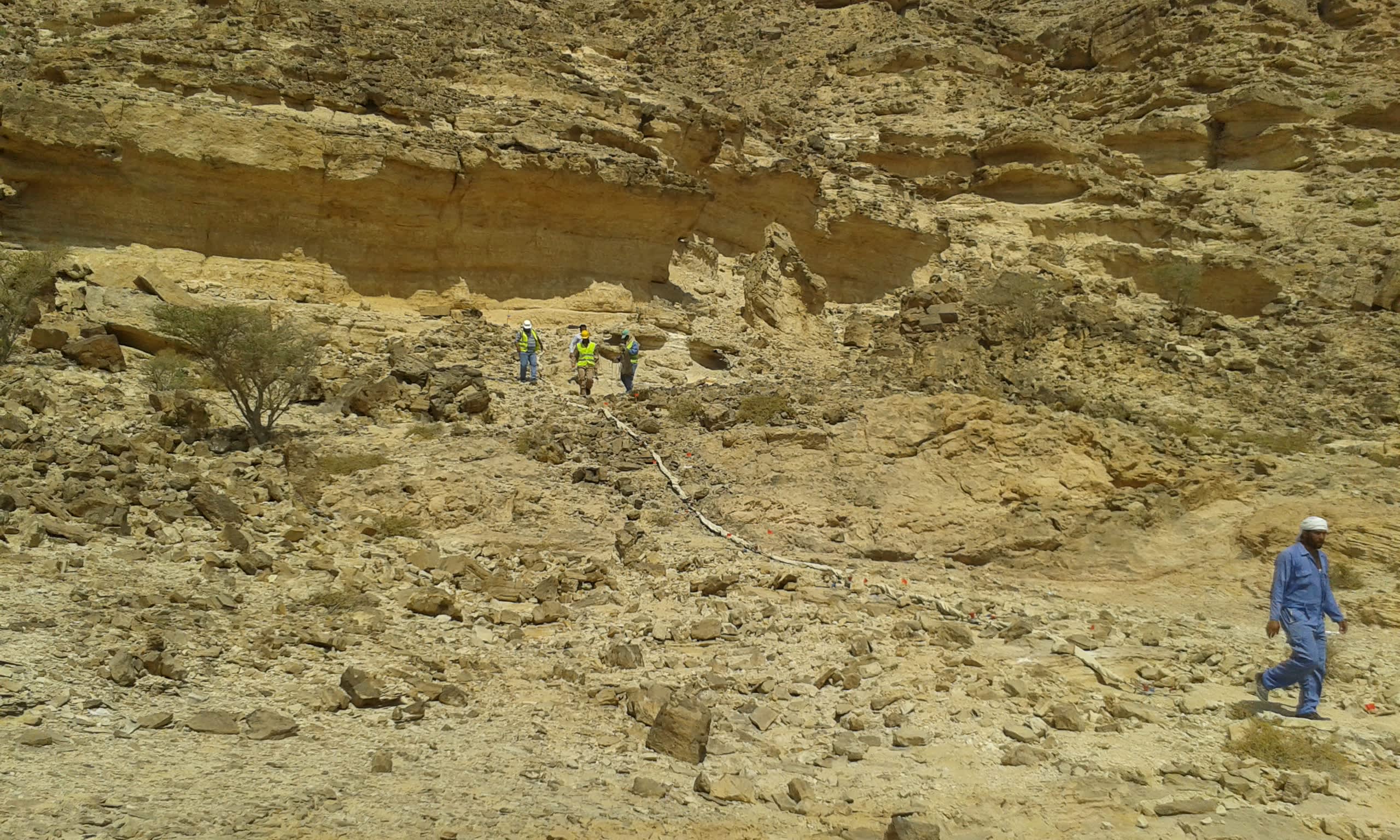 Geophysical Investigation at SEZAD Special Economic Zone at Duqm Dams ...