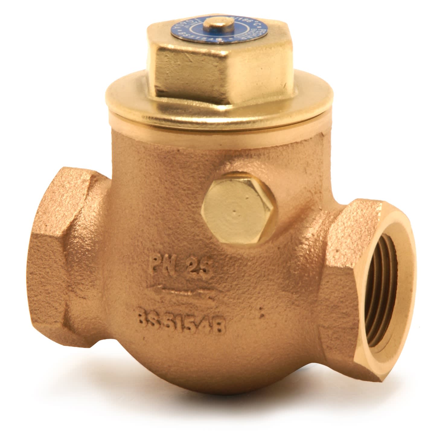 Check Valve 1060A | ProTenders