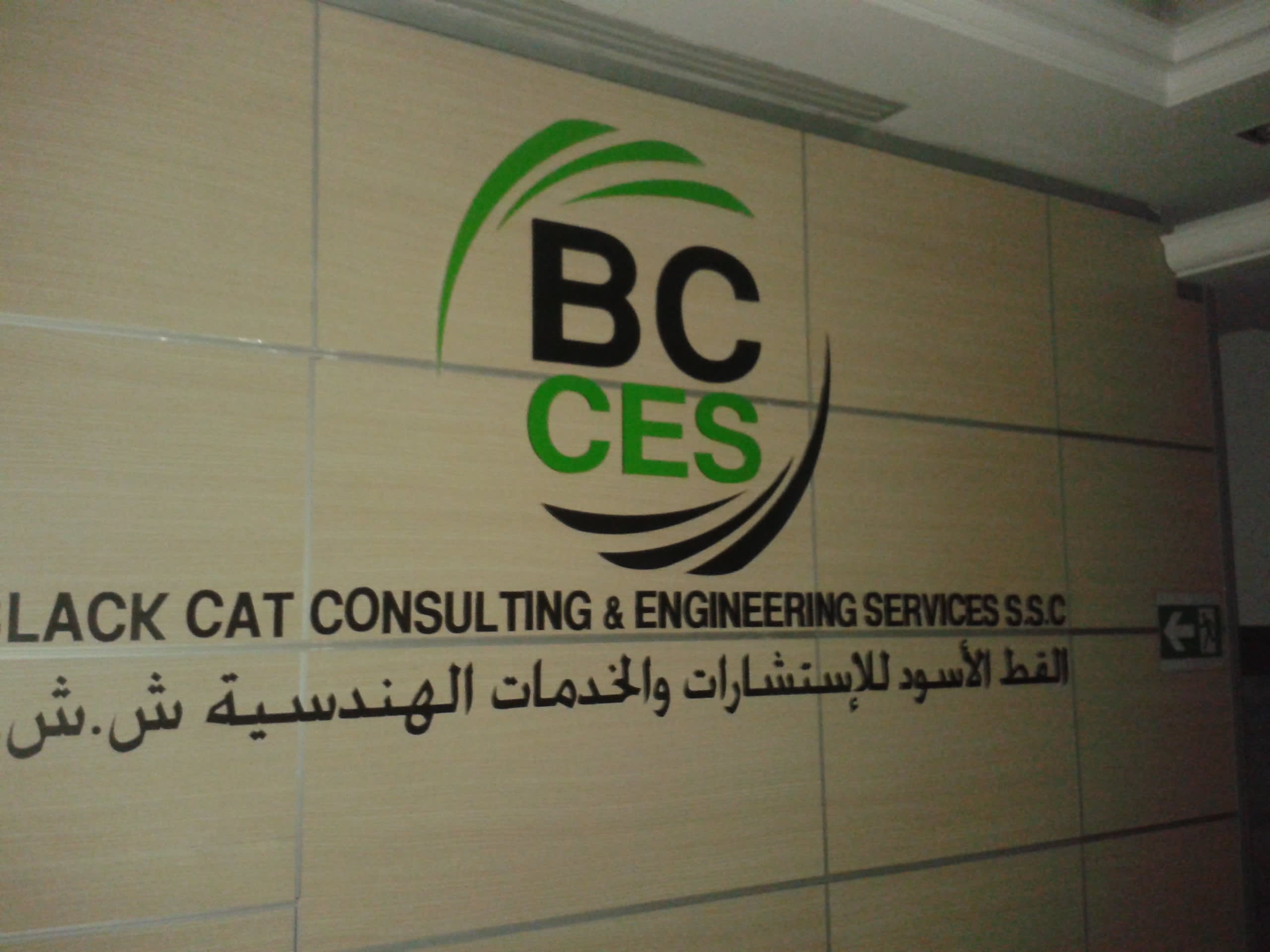 Black Cat Consulting & Engineering Services | ProTenders