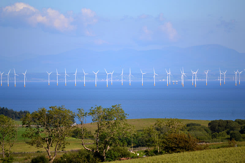 Robin Rigg Wind Farm | ProTenders