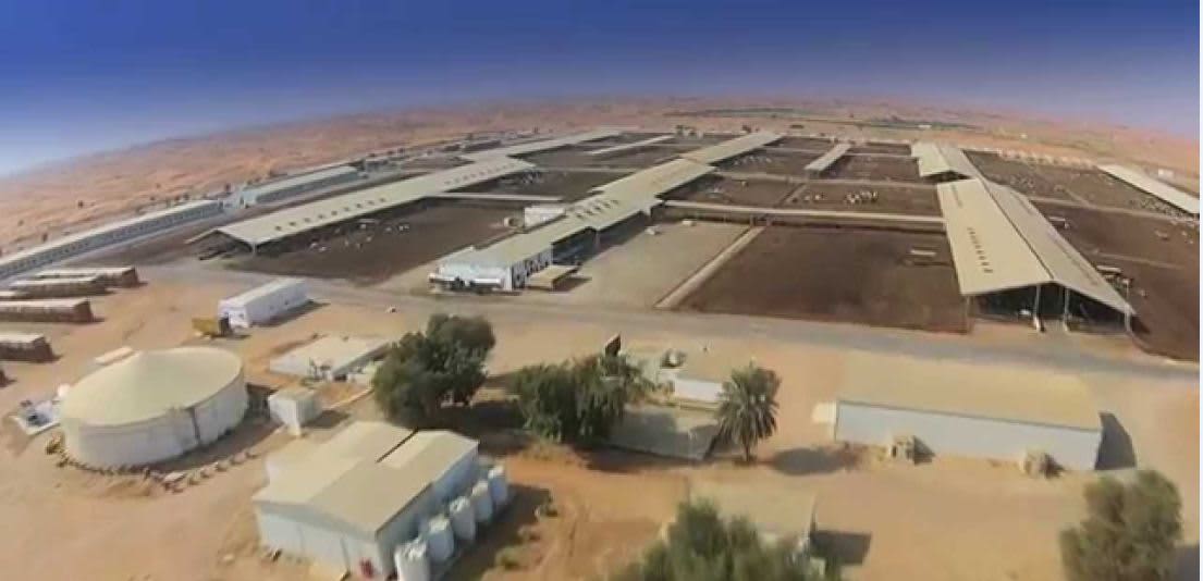 Al Ain Dairy Farm Expansion | ProTenders