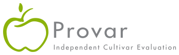 News | Provar
