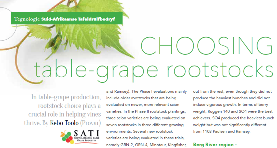Choosing table-grape rootstocks | Provar