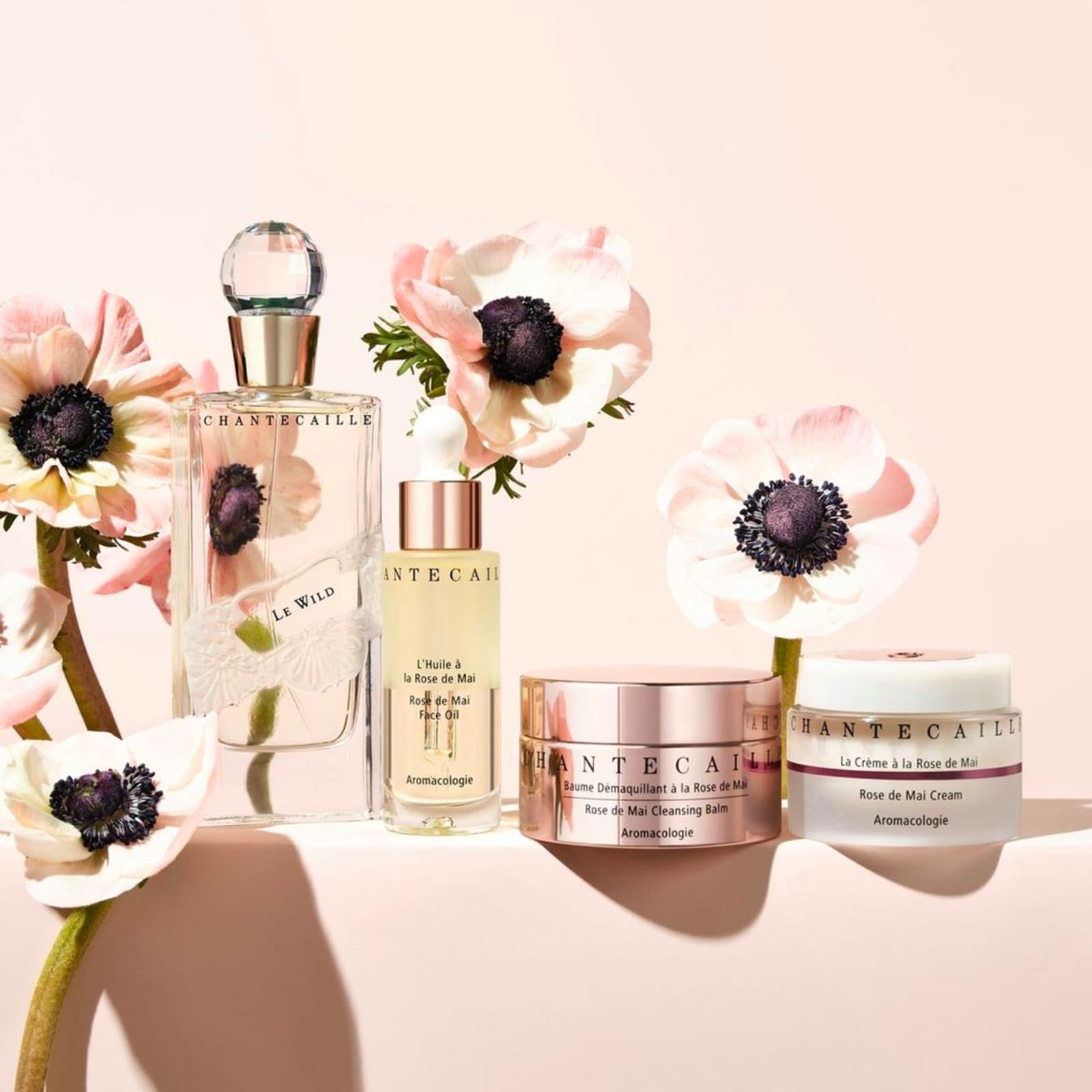 Chantecaille | Directory | Provenance