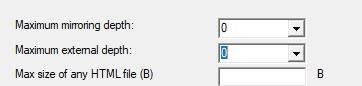 Any CAT tool or TMS has a functionality of extracting website content ...