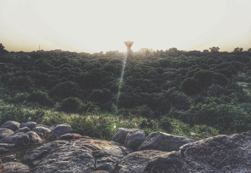 Best Places To Charge The Batteries Of Your Soul: Escaping Delhi In The ...