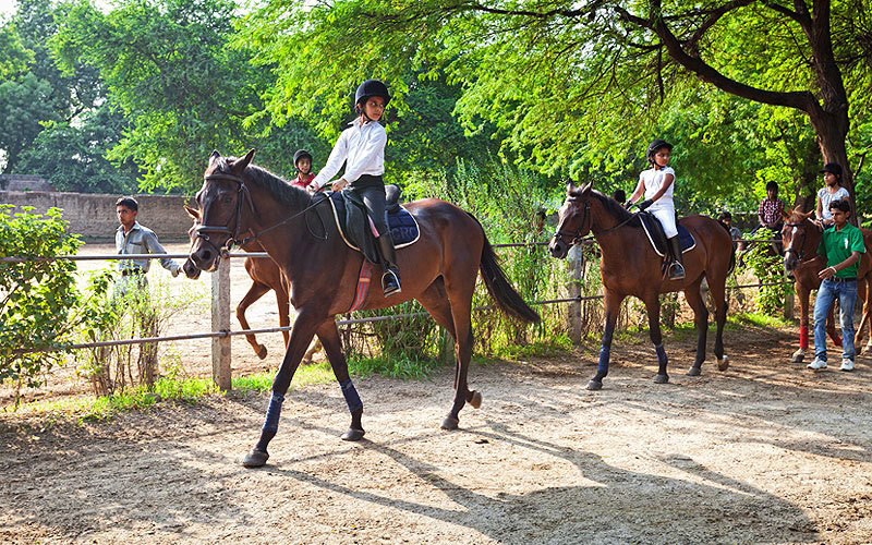 10 Fun Ways Like Bobsledding, Horse Riding & More To Spend Quality Time ...