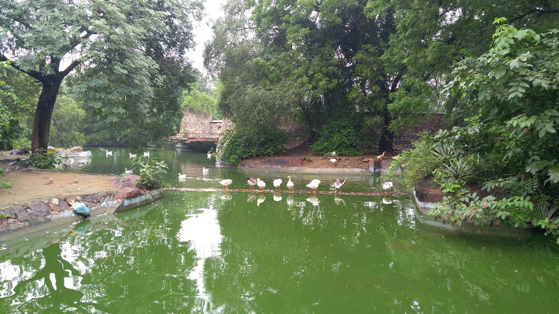 5 Parks With Lakes In Delhi To Enjoy A Scenic View Or Just A Romantic ...