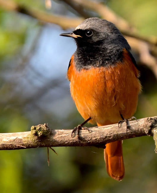 7 Bird Sanctuaries In Delhi You Need To Check Out To While Away An ...