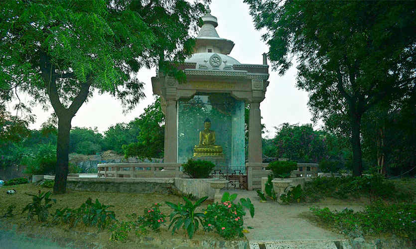 Here's All You Wanted To Know About The 'Green Lungs Of Our City' - The ...