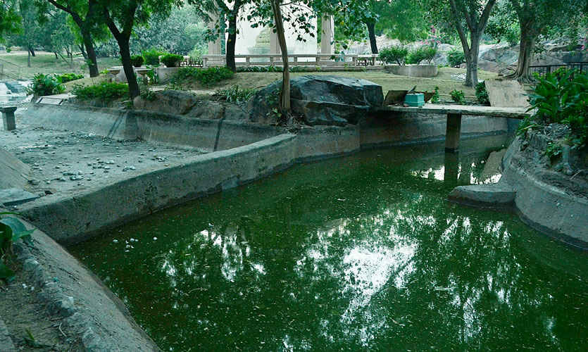 Here's All You Wanted To Know About The 'Green Lungs Of Our City' - The ...