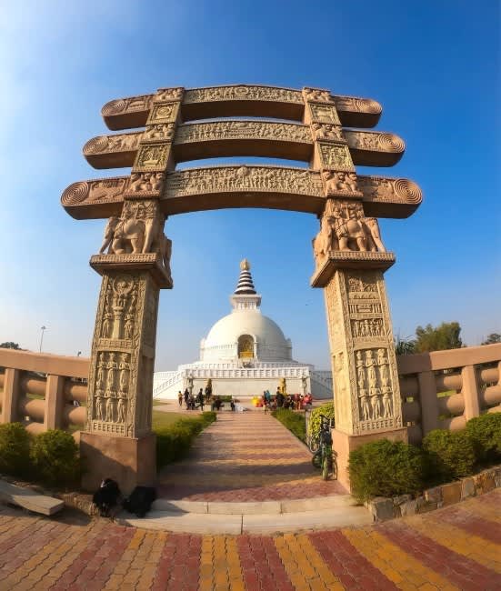 8 Biggest Parks In Delhi For Morning Walks | So Delhi