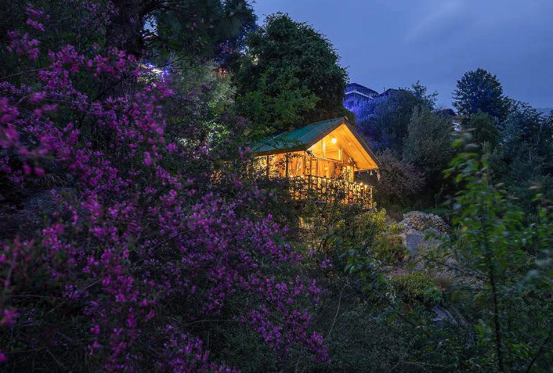 Tree House In Jibhi, Himachal Pradesh For Vacay | So Delhi