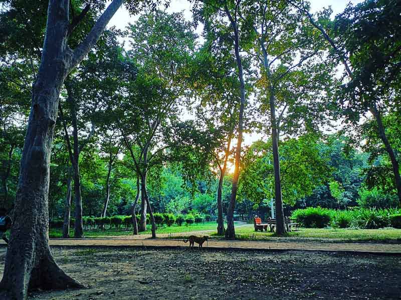 7 Best Things To Do In Vikaspuri, Delhi | So Delhi
