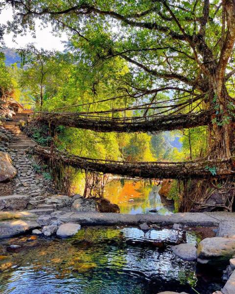 6 Most Stunning & Unique Bridges In India | So Delhi