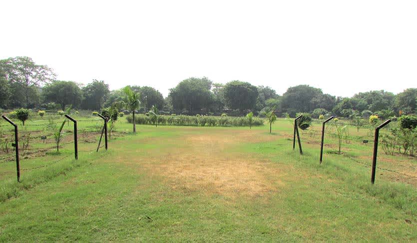National Rose Garden In Chanakyapuri For A Picnic | So Delhi