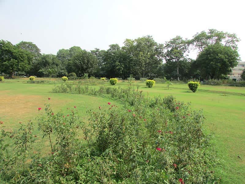 National Rose Garden In Chanakyapuri For A Picnic | So Delhi
