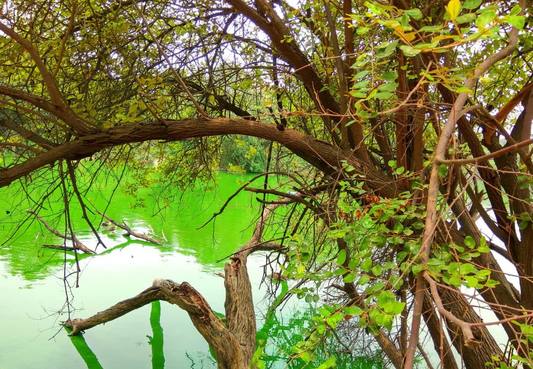 Delhi - Explore Monuments, Parks & Gardens in Delhi