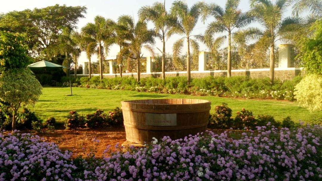 8 Best Vineyards In And Around Nashik | So Nashik