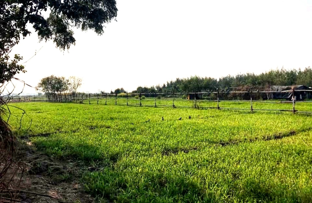 This Farm In Noida Is Self-Sustained & Has A Zoo | So Delhi