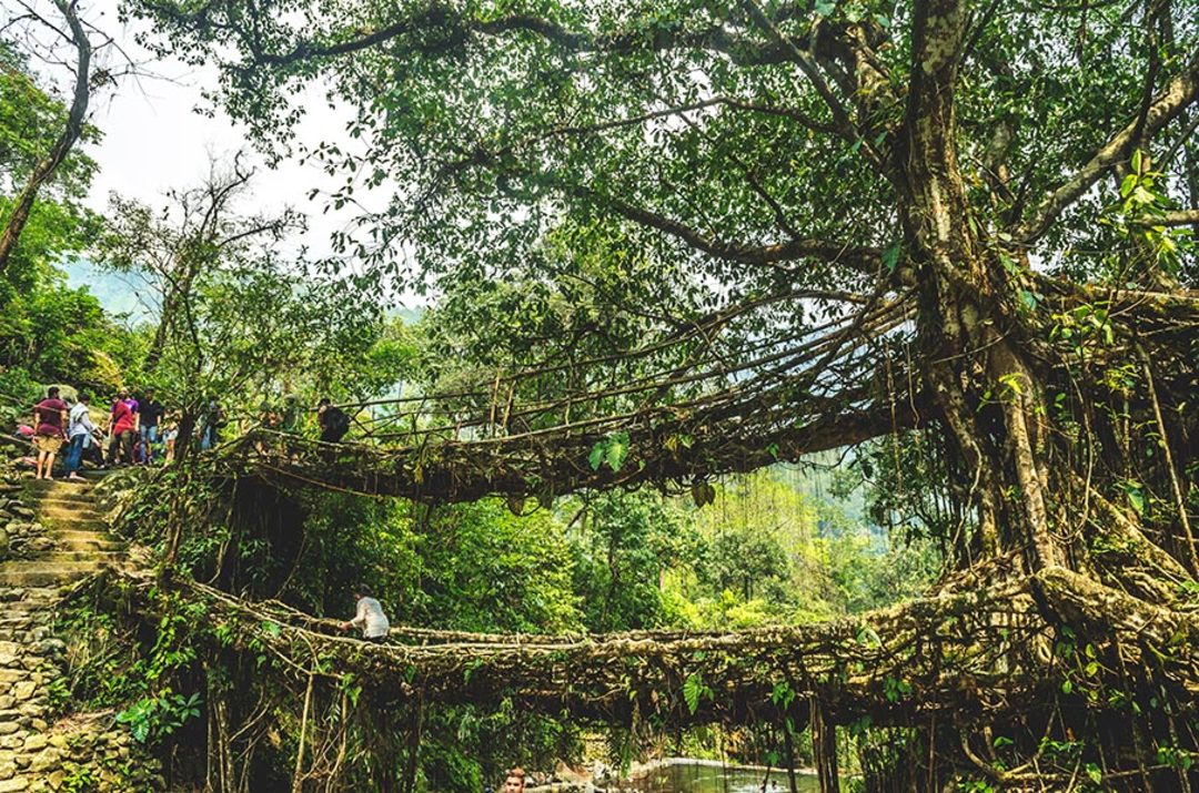7 Best Activities In Shillong For The Adventurous Soul | So Shillong