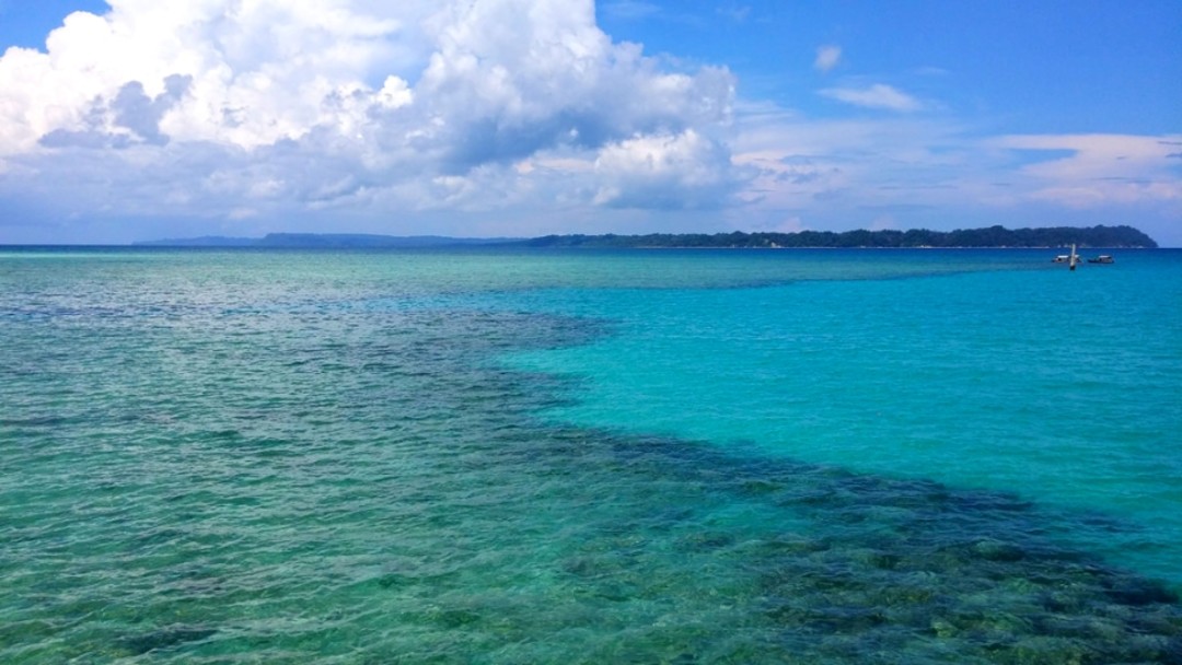6 Best Places To Visit In Neil Island, Andaman & Nicobar | So Andaman