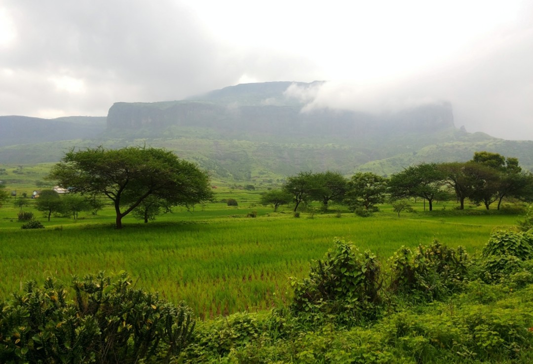 5 Best Nature Attractions In Nashik | So Nashik