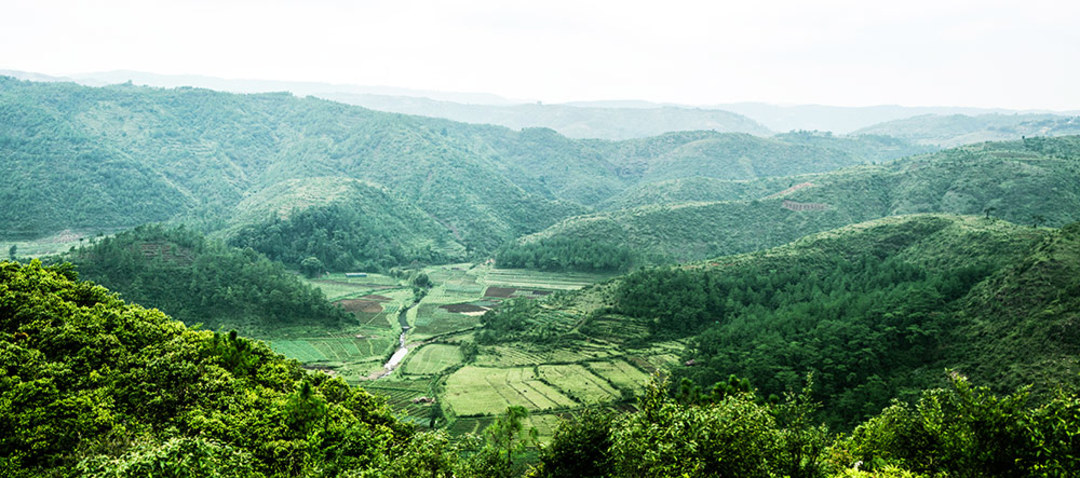 6 Best Nature Trails In Shillong - A List | So Shillong
