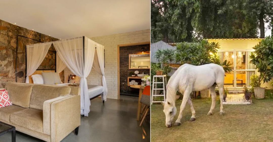 Opt For Staycation At The Barn- A Farm Cottage In Delhi | So Delhi