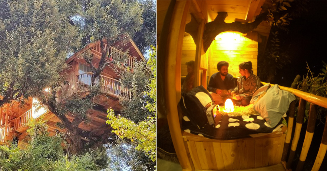 Pack Your Bags & Book Your Stay At This Gorgeous Treehouse | So Delhi