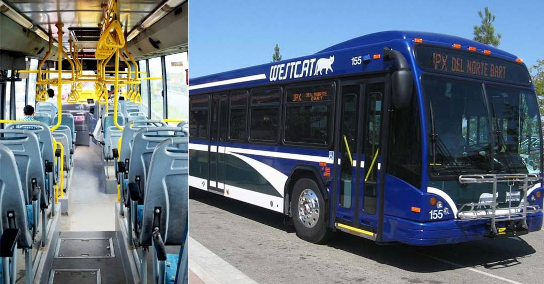 Delhi To Get 100 New AC Low-Floor Buses After 10 years | So Delhi