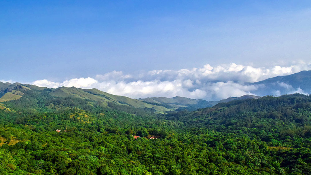4 Most Beautiful Peaks In Coorg | So Coorg