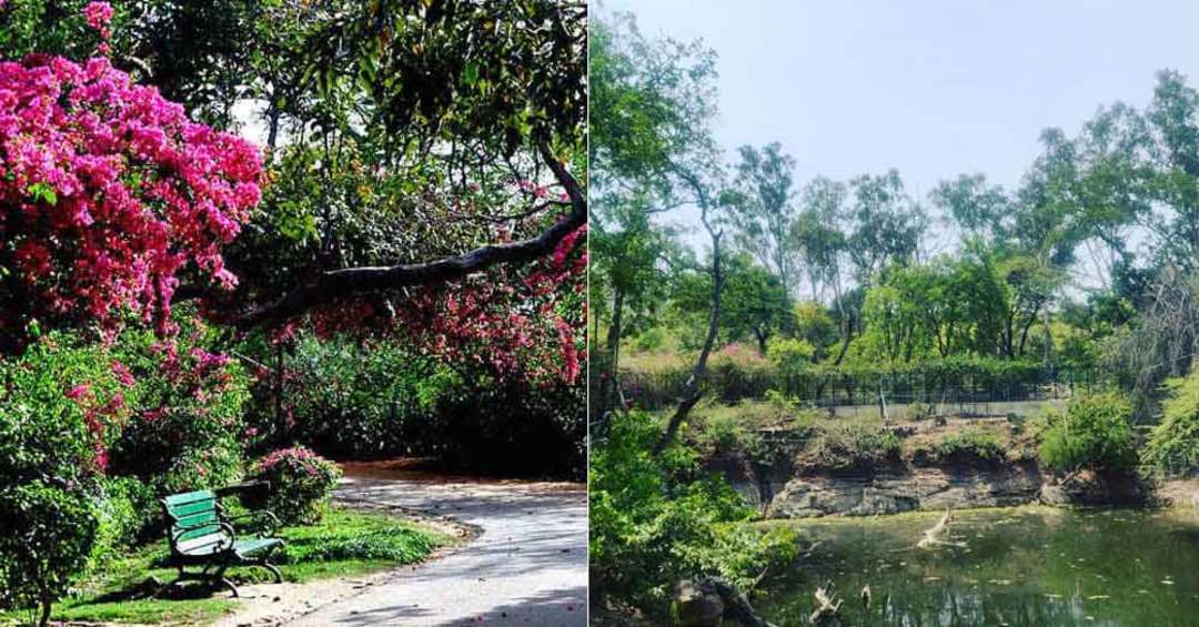 Khooni Jheel In Northern Ridge, Delhi | So Delhi