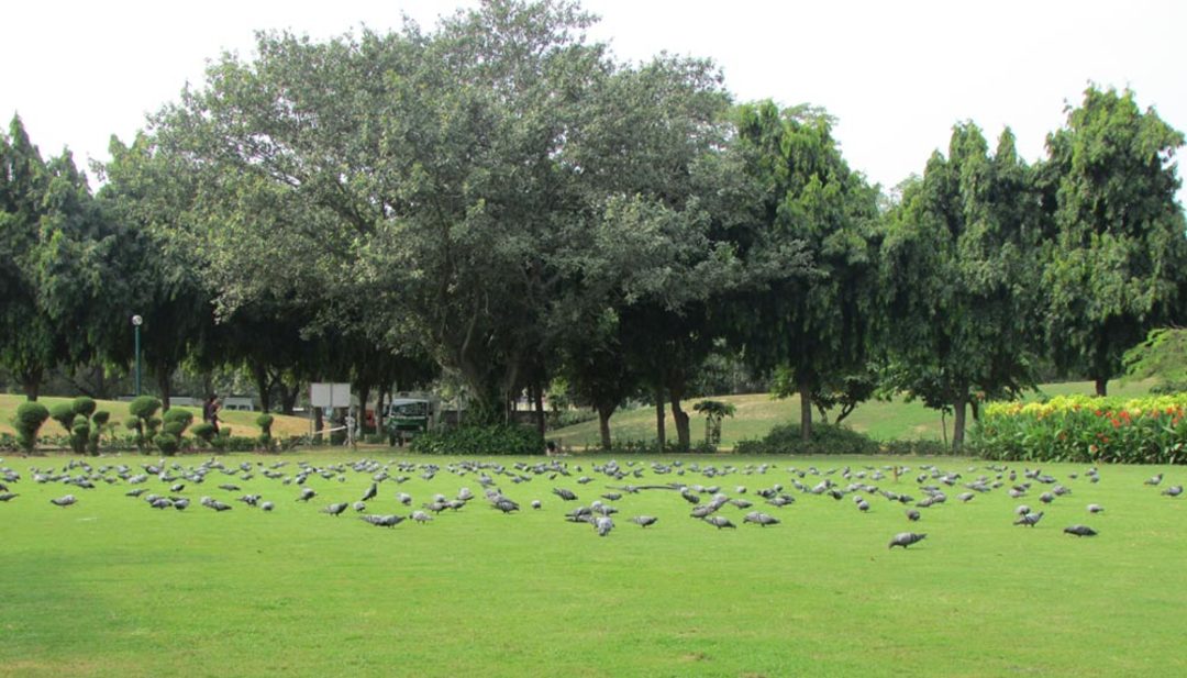 All You Need To Know About Nehru Park, Chanakyapuri | So Delhi