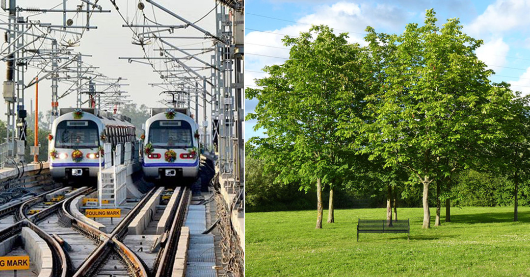 DMRC Changed Tracks To Save 13,000 Trees | So Delhi
