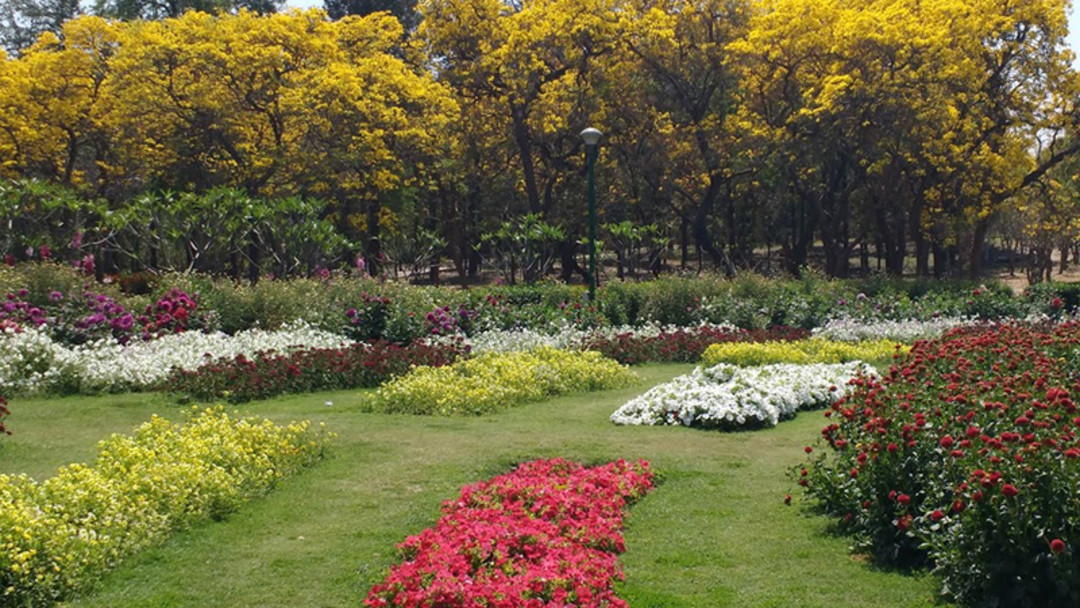 Delhi’s Nehru Park Is All Set For A Facelift! | So Delhi