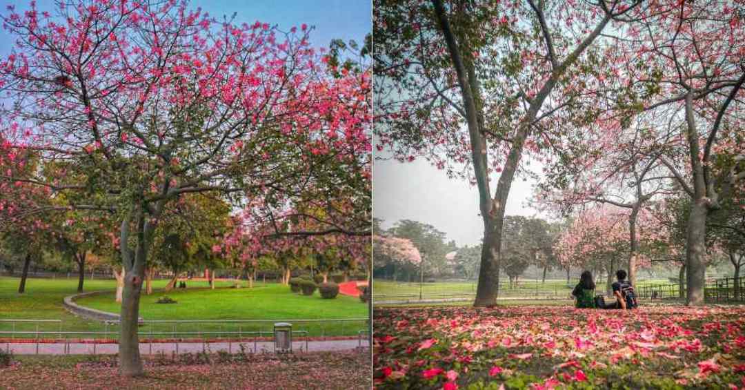 Shanti Van In Delhi For Picnic | So Delhi