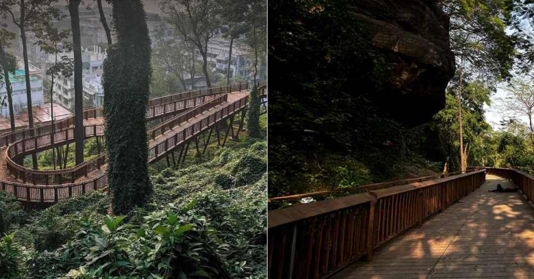 Mumbai's 1st Elevated Nature Walk Now Open, April 2025 | So Delhi