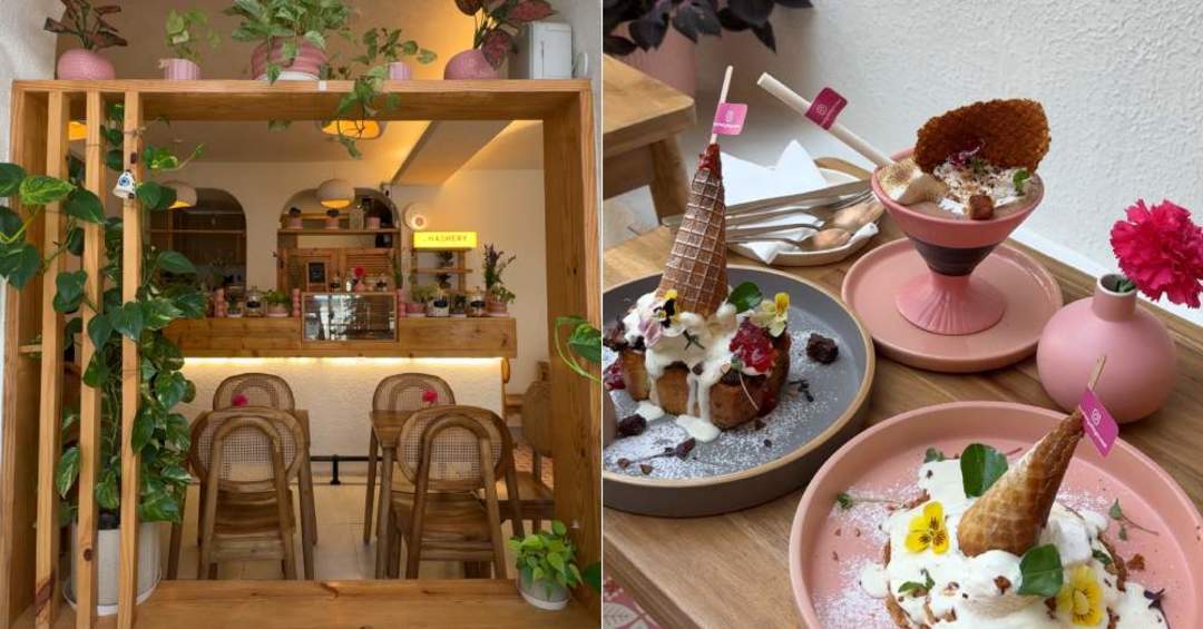 Hashery Has Opened Its Second Outlet In GK 2, 2025 | So Delhi