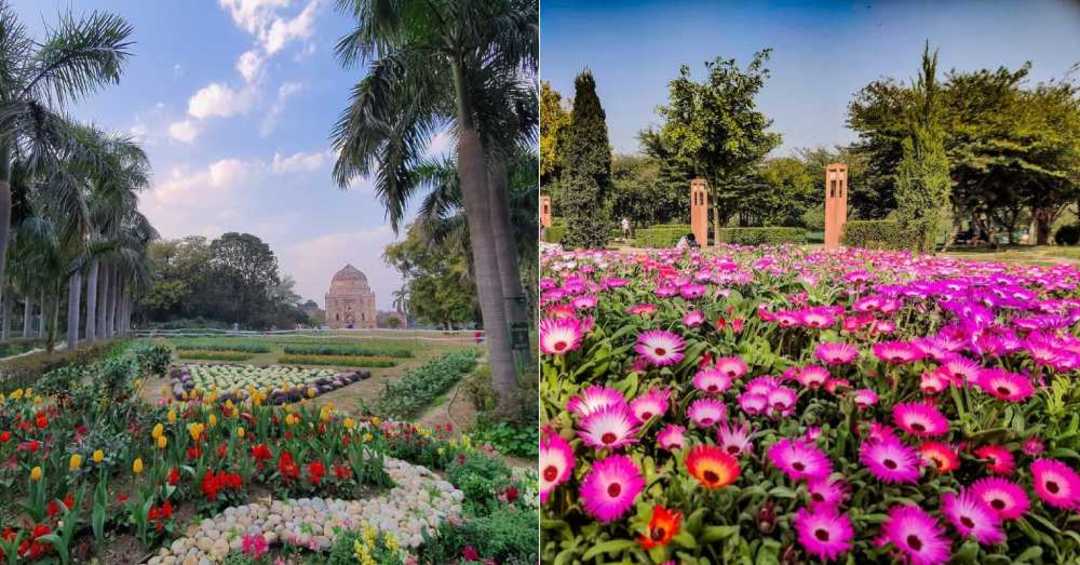 8 Best Places To Enjoy Spring Blossoms In Delhi | So Delhi