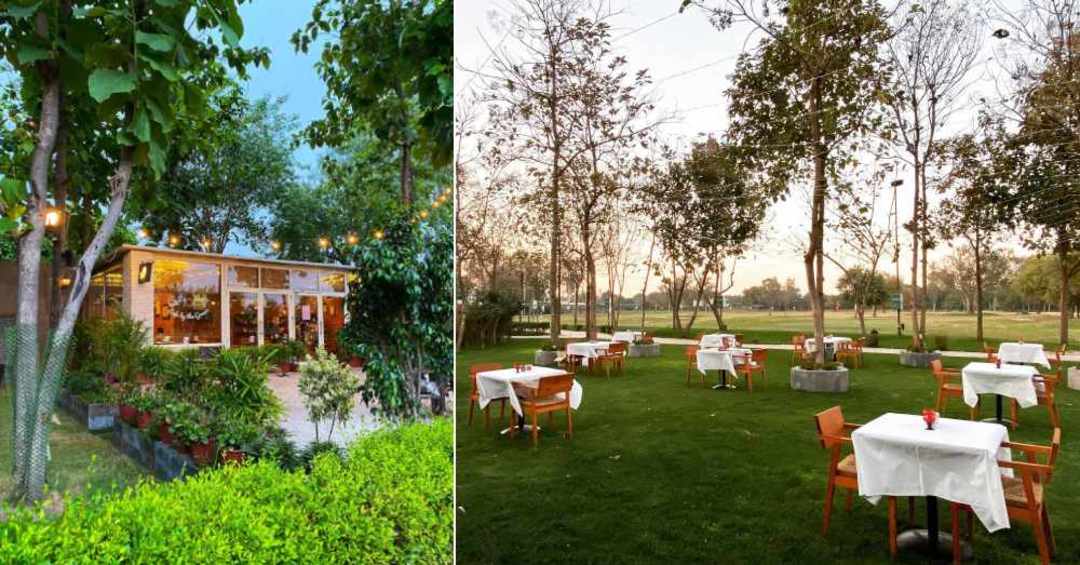 Hamoni: Cafe By The Greens For Winter Brunch, Delhi NCR | So Delhi