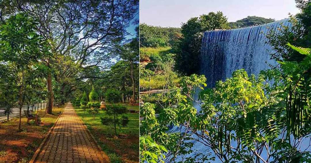 5 Best Parks In Bangalore To Unwind At | So Bangalore