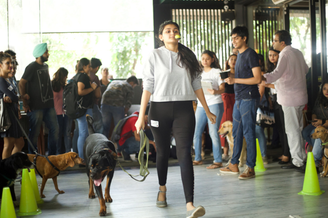 Delhi Pupper Party At Taksim On Sunday | So Delhi