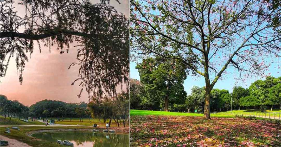 Go For A Peaceful Morning Stroll At Shanti Van In Rajghat | So Delhi