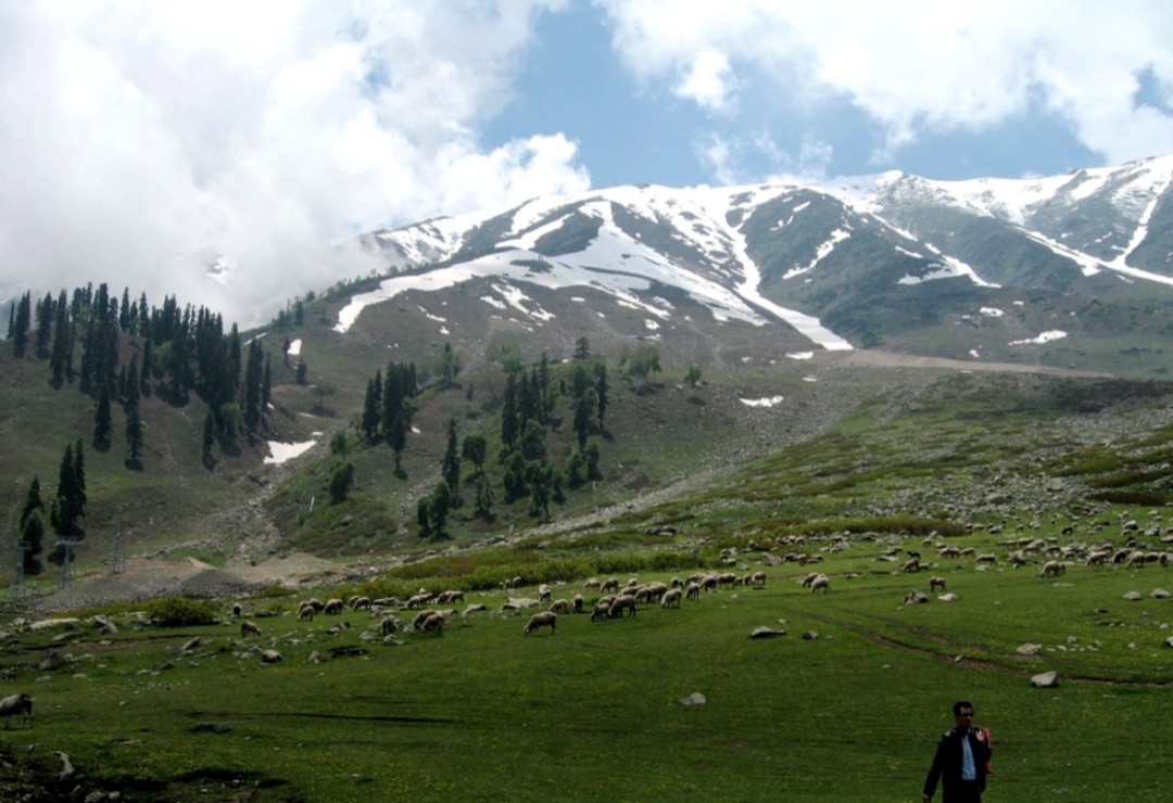 9 Best Things To Do In Gulmarg, Srinagar | So Srinagar