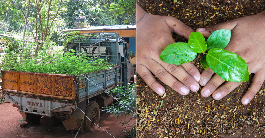 Delhi Govt. To Deliver FREE Saplings At Doorsteps | So Delhi