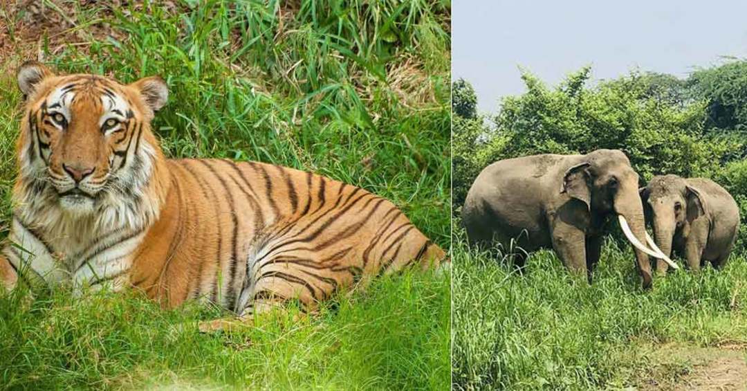 National Zoological Park Opening In Delhi On 1st April | So Delhi