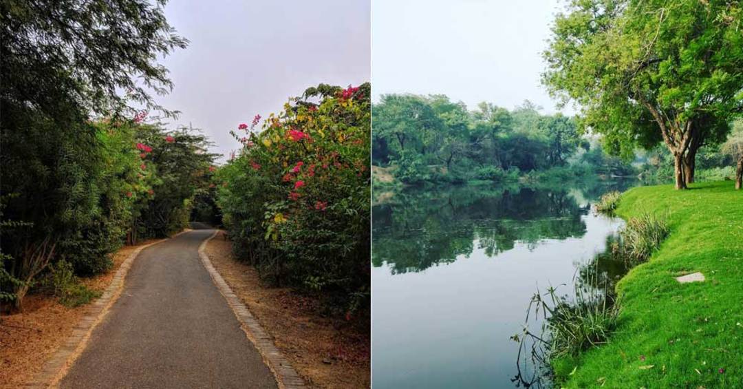 5 Best Green & Peaceful Forests In And Around Delhi | So Delhi