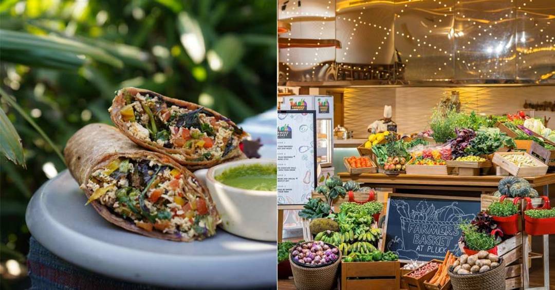 7 Best Restaurants Serving Healthy Food In Delhi NCR | So Delhi