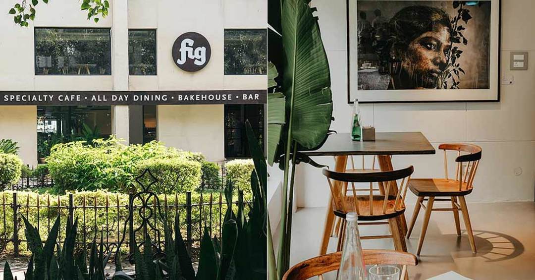 Fig At Malcha Marg In Chanakyapuri, Delhi | So Delhi